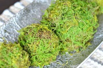 How to Make Easy DIY Decorative Moss Balls - Jenna Kate at Home