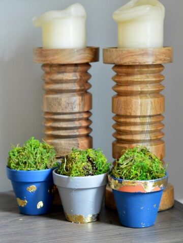 DIY Gold Leaf Plant Pots - Jenna Kate at Home