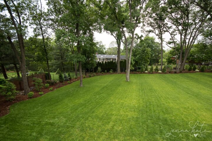 Our Yard This Spring: Large Backyard Landscaping Inspiration